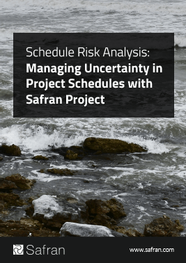 Managing Uncertainty in Project Schedules LP